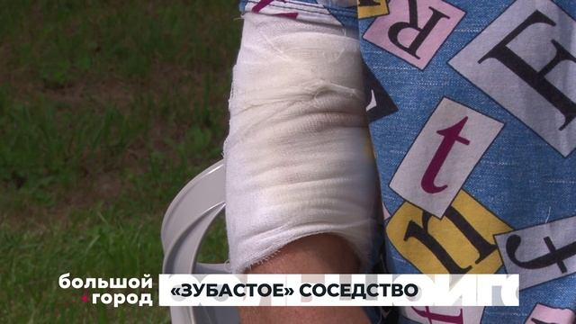 «ЗУБАСТОЕ» СОСЕДСТВО 17.07.25