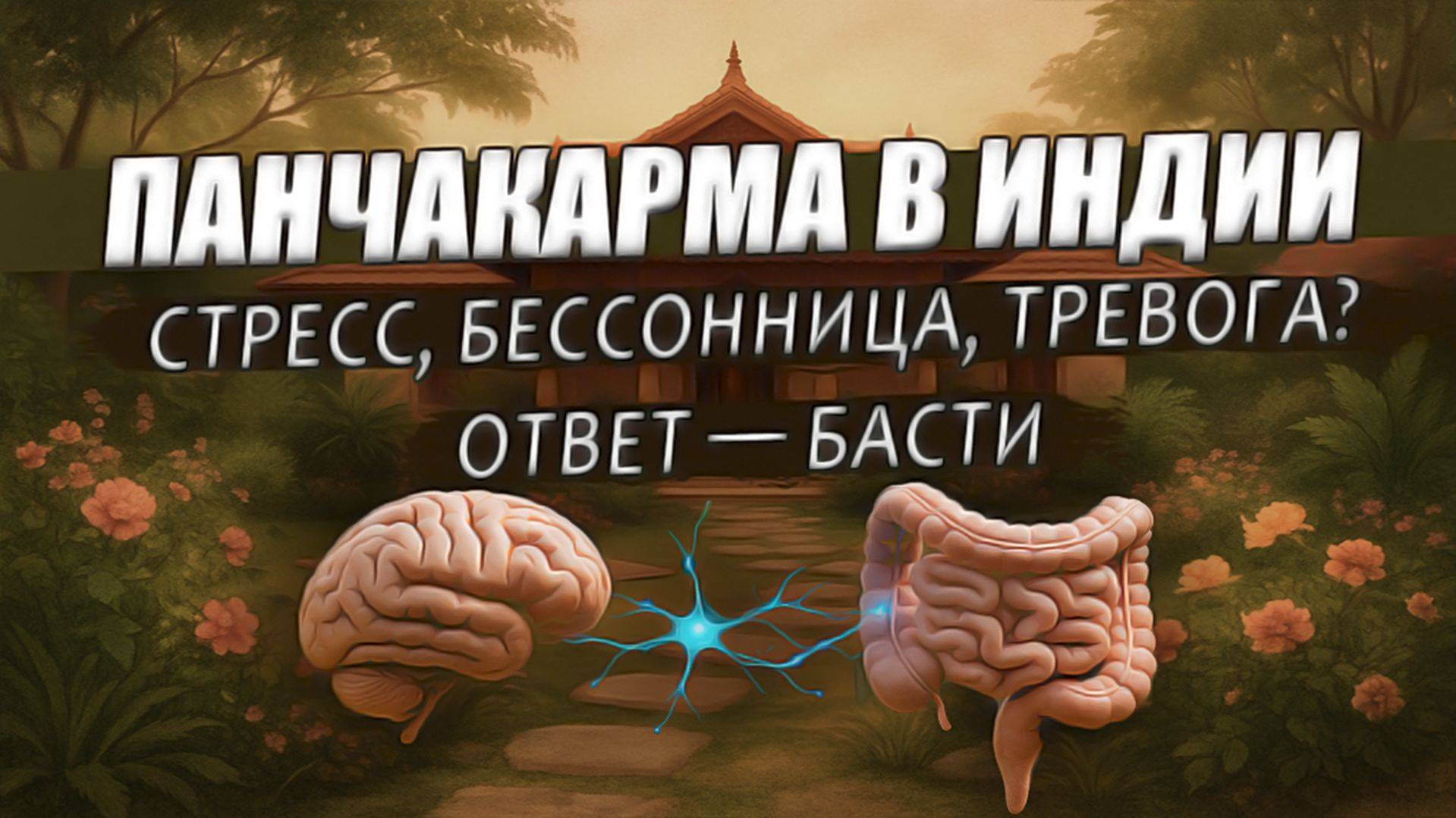 Дневник панчакармы | Что делает Басти с телом и умом? Аюрведа + нейрофизиология
