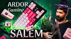 Ardor Gaming Salem: с ушками и без хвостика ^_^