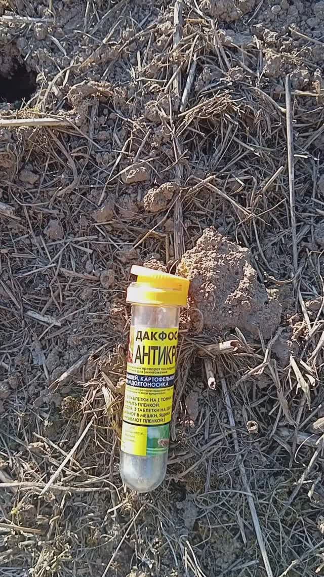 Крот на участке!!!