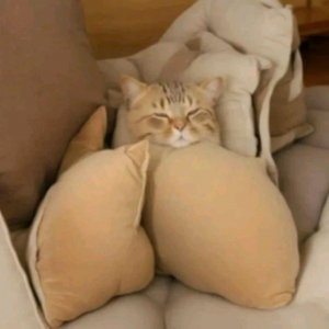 не знаю