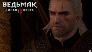 Ведьмак 3 Дикая Охота►Прохождение без комментариев.#8