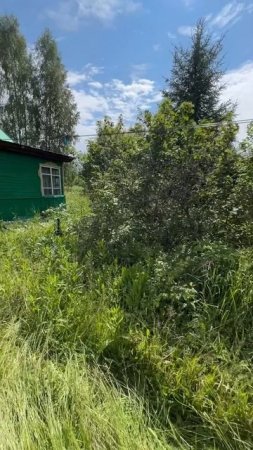 Продается жилой дом на участке 16,4 сотки в дер. Паткино, Александровский р-н, Владимирская обл.