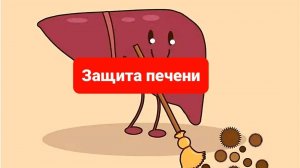 Как защитить печень