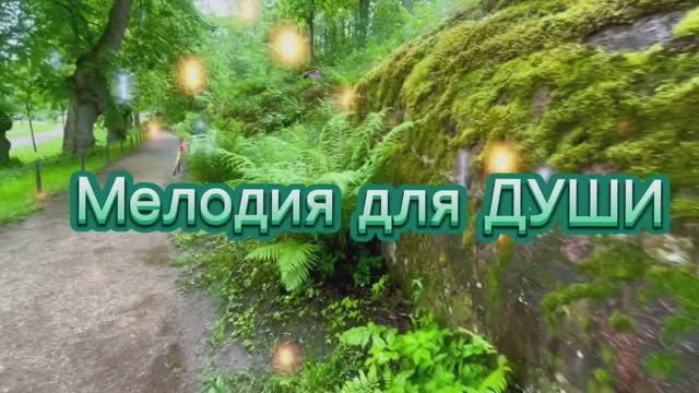 Мелодия для души, очень красивая музыка, парк МОНРЕПО, Выборг