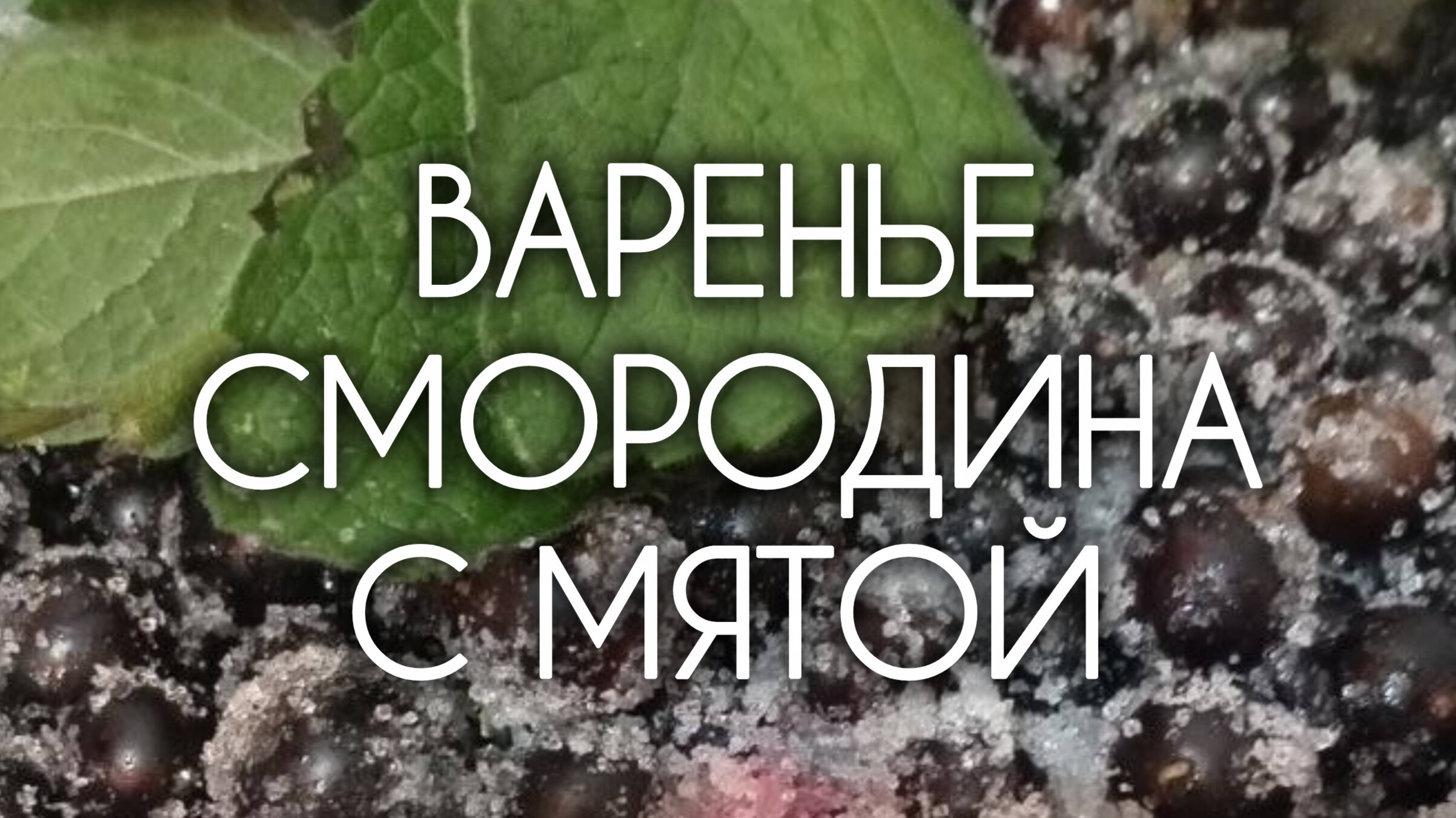 Попробовав однажды, варенье из чёрной смородины варю теперь только так. Чёрная смородина с мятой