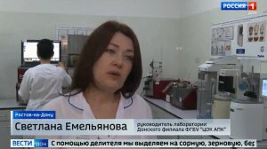 ТВ: Как на Дону в лаборатории ЦОК АПК исследуют качество зерна нового урожая