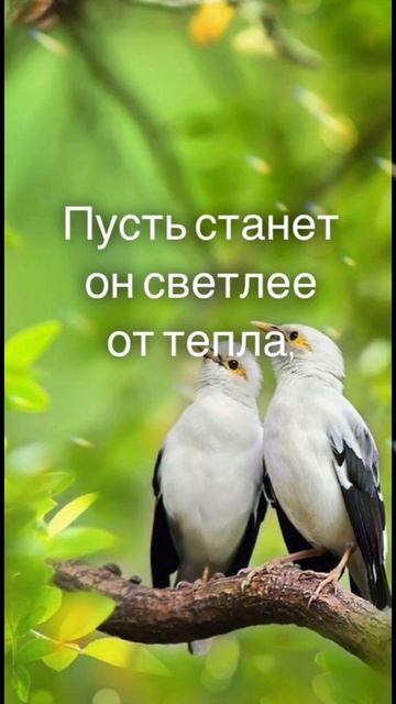 С прекрасным днём. Музыкальная открытка поздравление.