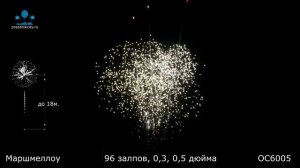 ОС6005