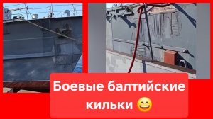 Русские, бойтесь! Боевые балтийские кильки😂