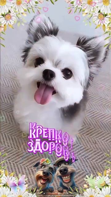 Чудесного дня. Музыкальная открытка поздравление.