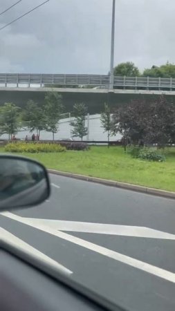 Наше путешествие на машине🚘