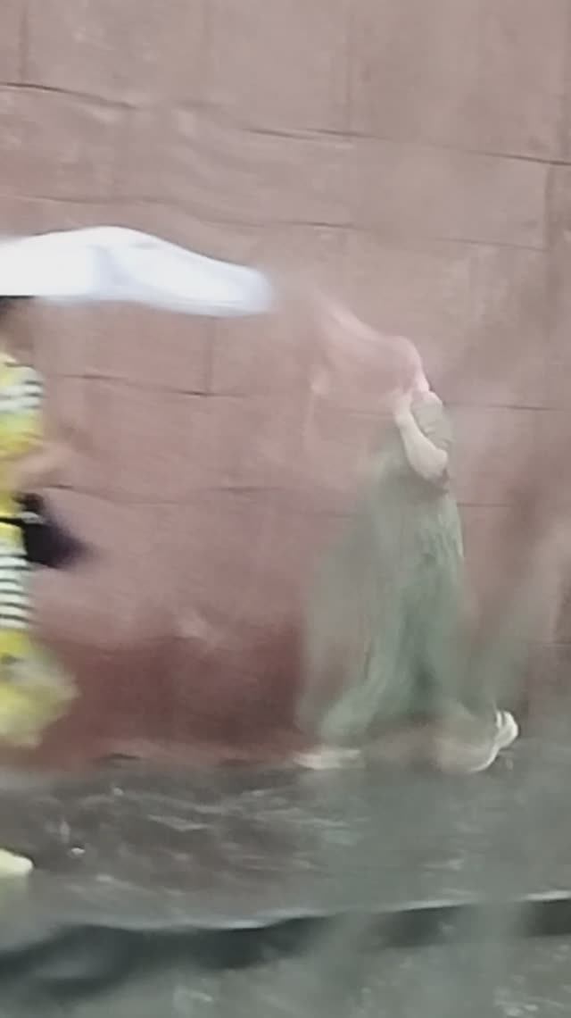 Дождь идёт