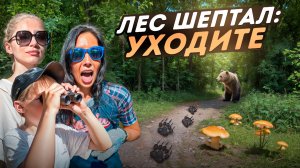 Влог-триллер: Лес шептал: «Уходите. Медведь рядом!» Встреча с диким зверем, поиски человека и советы