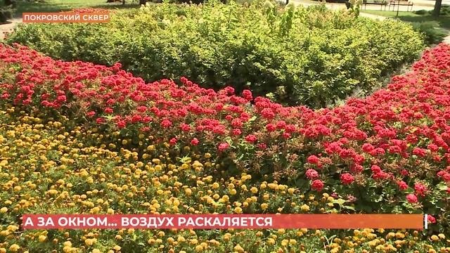 А за окном. 17 июля 2025