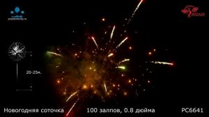 РС6641