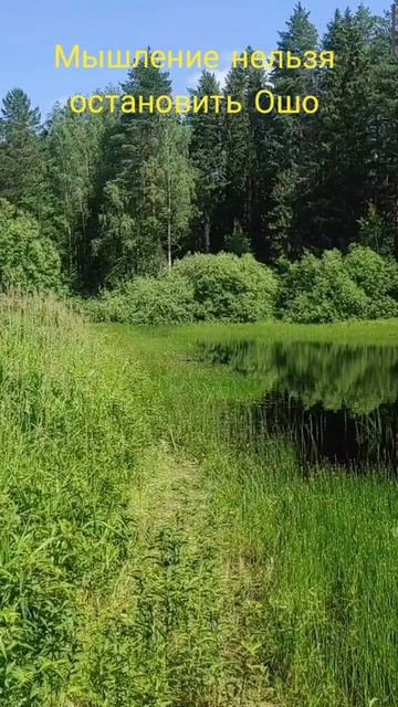 (28) Мышление нельзя остановить Ошо