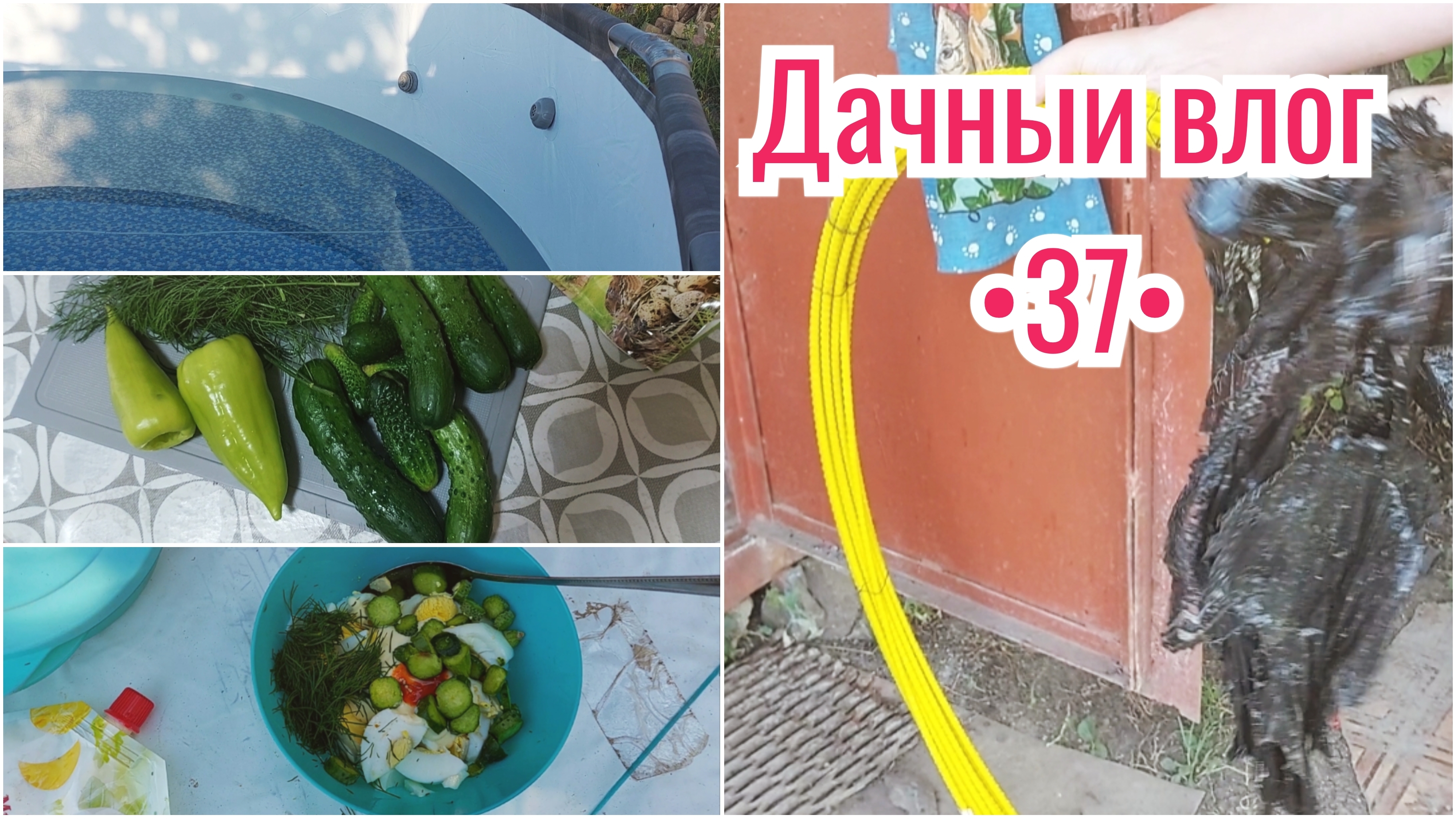 ПОКУПКИ ДЛЯ ДАЧИ // ПЕРВЫЙ УРОЖАЙ // УПОРНО НАВОЖУ ПОРЯДОК В САДУ 🏡