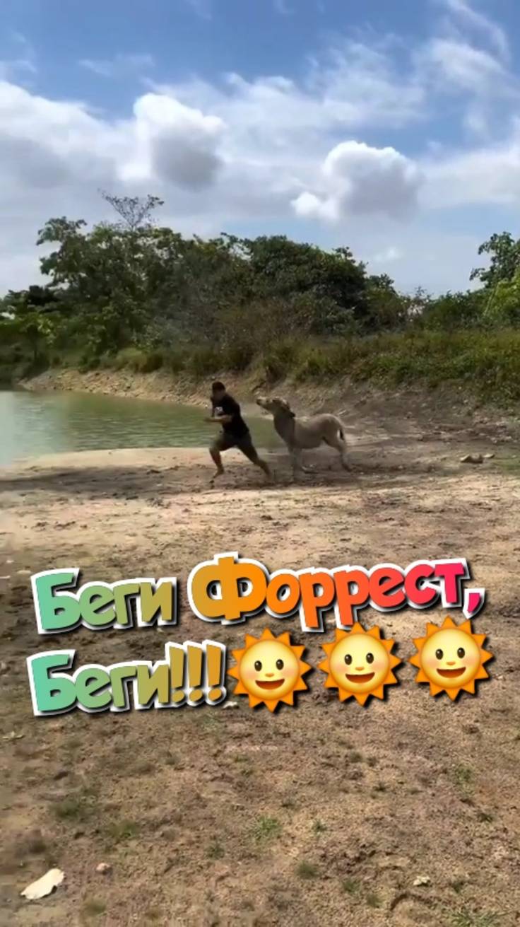 Беги Форест Беги!!!🌞🌞🌞