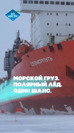 Полярный докер Николай Кубышкин
