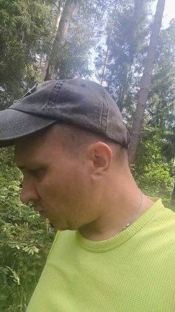лес - чудесное место. свежий воздух полезен для организма, лесные ягоды очень вкусные и полезные