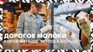ЗОЛОТОЕ МОЛОКО: почему подорожало, что продают под видом молока | Специальный репортаж