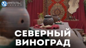 Новоуренгойский «Виноград»