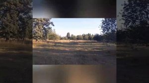 Аша, Северная улица, уч 1в