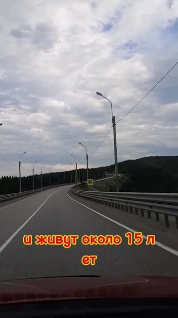 Юморок на вечерок