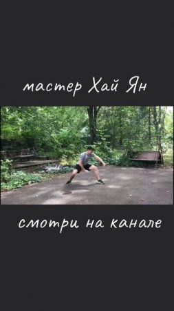 Хай Ян Багуа Чжан в стиле Чэн, вторая ладонь