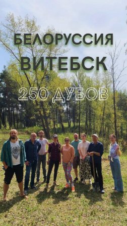 Посадили ёлочки и дубки на Юрьевой Горе и возле родника Иоанна Крестителя