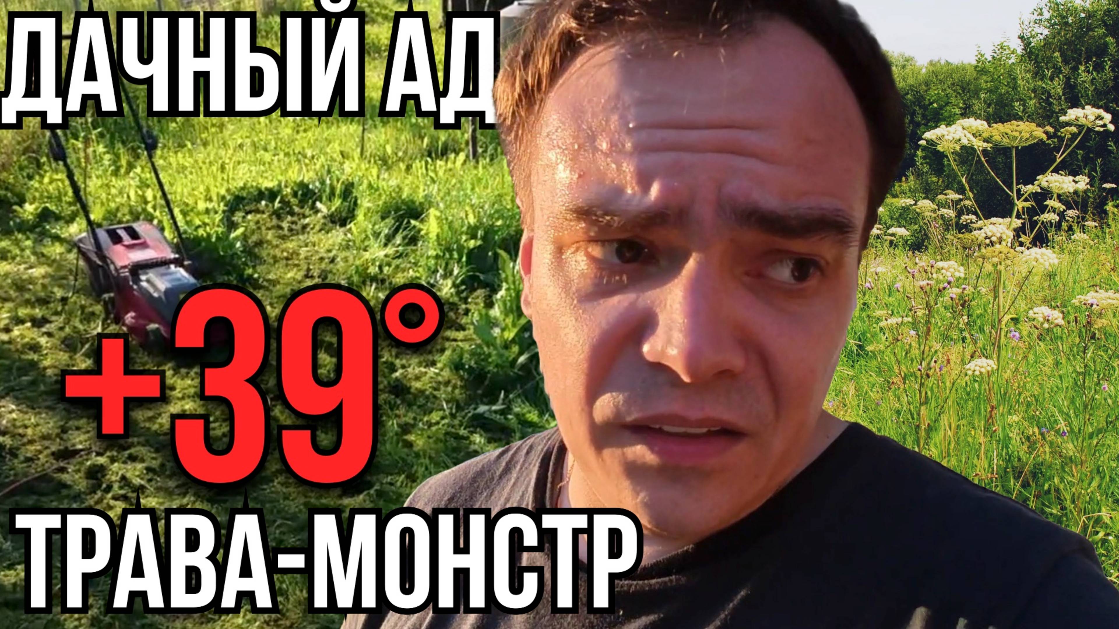 Тепловой Удар на Даче! Трава Выросла за 5 Дней? (Косил в 39° Ад)