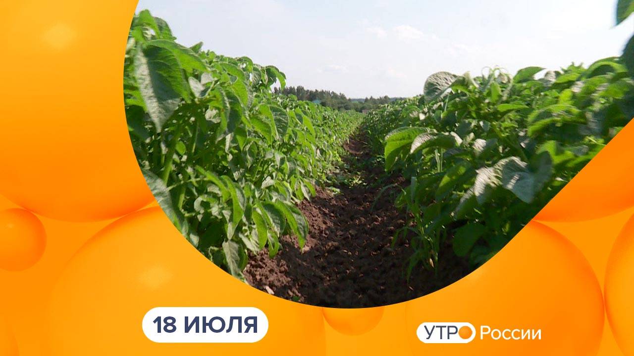 Утро России. Калуга (18.07.2025)