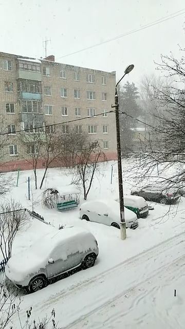 VID_20220105_125737