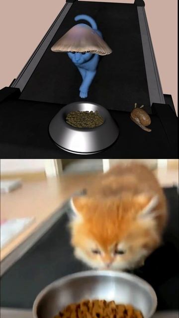 Smurf Cat Shenanigans: Hilarious Animal Memes and Cat Antics Shorts