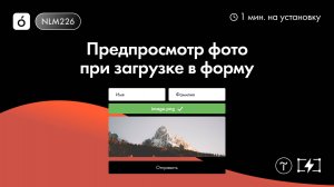Как добавить предпросмотр фото при загрузке в форму на Тильде