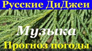 Музыка Прогноз погоды Сочи Дендрарий