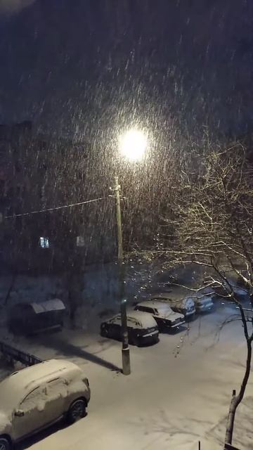 VID_20221119_231044