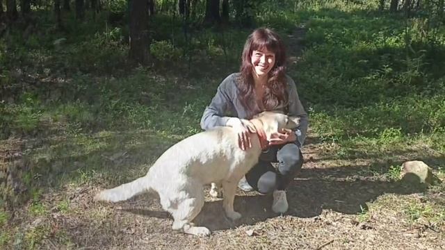 Чего от жизни хочется теперь. Слова: Ирина Самарина - Лабиринт. Аранжировка: Иван Белкин.