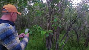 Воркута. 17.07.25. Неожиданные приятности