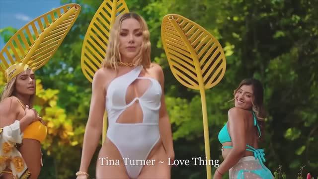 Tina Turner ~ Love Thing