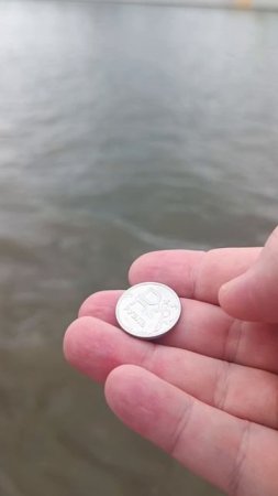 Сколько стоит рубль с буквой Р