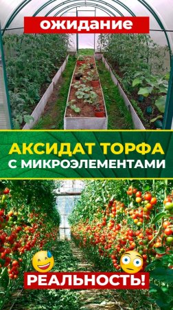 Дополненная реальность к этикетки оксида торфа для рассады