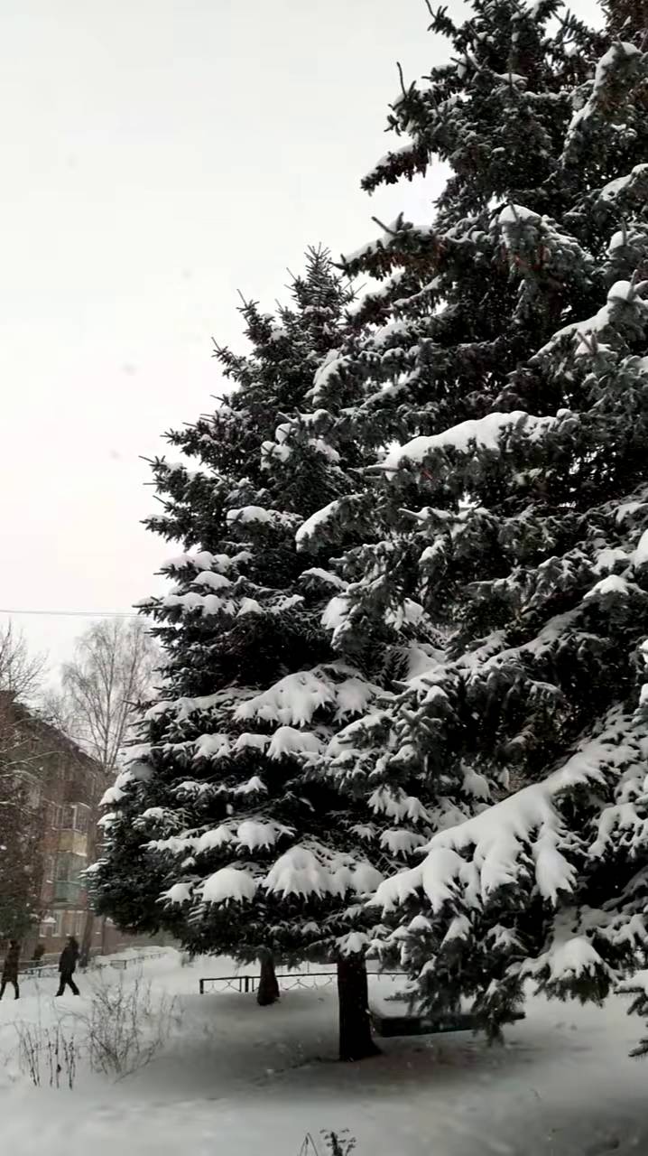 VID_20210121_132447