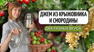 Джем из крыжовника и смородины: 2 разных вкуса | Заготовки на зиму своими руками