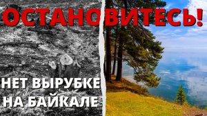 Нет вырубке на Байкале!