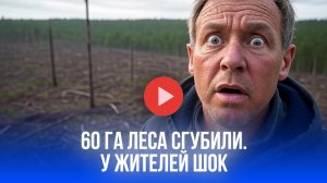 60 гектаров леса под удар: животные в панике бегут из Рузского округа