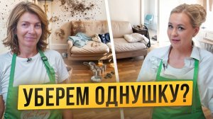 Генеральная уборка квартиры за 4 часа: от окон до химчистки дивана