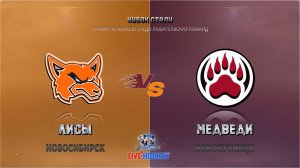 19.07.2025г. ЛИСЫ   VS  МЕДВЕДИ . КУБОК СТАЛИ