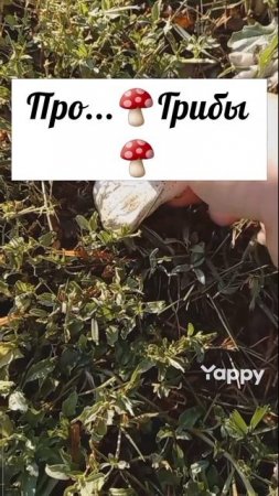 #ждуактивныхдрузей #это не так#мы неотраляем вас